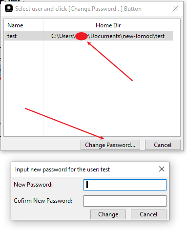 Lomorage Windows 服务器常见问题与解决方法 | Lomorage